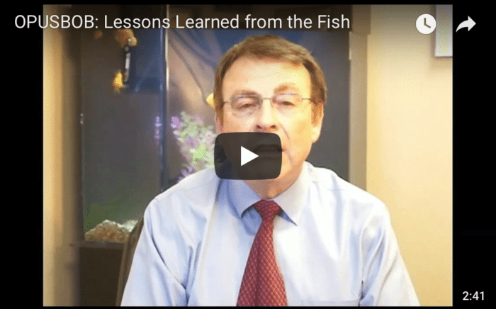 Opus Productivity | OPUSBOB: Lessons Learned from the Fish